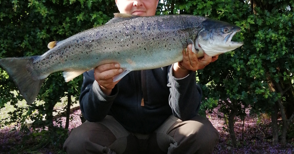 Brian Klinge fanger på orm