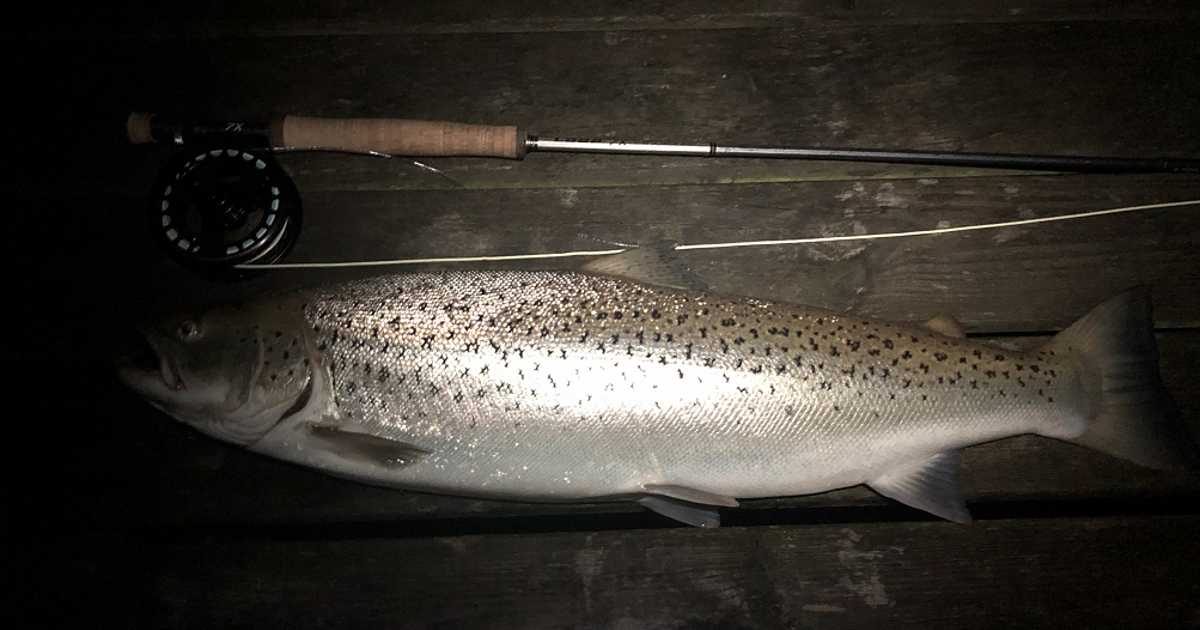 Simon laver igen en fin fangst