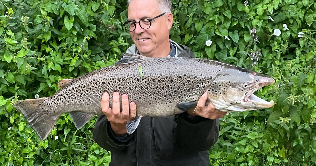 John Pedersen har nu landet årets største havørred
